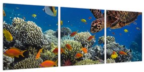 Obraz podmořského světa (90x30 cm)