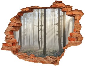 Wallmuralia Nálepka 3D díra samolepící Mlha v lese 90x70 cm