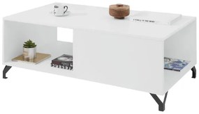 Konferenční stolek Bergen, bílý mat/bílý lesk