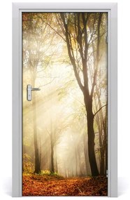 Fototapeta na dveře samolepící les podzim 85x205 cm