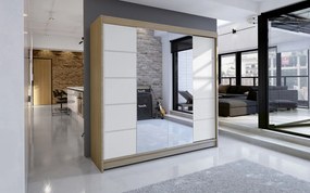 ADRK Furniture Posuvná skříň s zrcadlem TRAVES 180 SW-TRA-S+W-180+A391