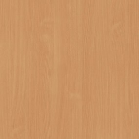 Šatní skříňka S1 s úložnými boxy, 4 boxy, 1850 x 300 x 500 mm, kódový zámek, laminované dveře, buk