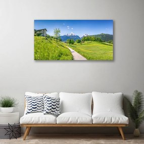 Obraz na plátně Hory Louka Stezka Údolí 120x60 cm