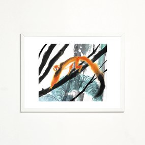 Kateřina Coufalová | Opice Rám: Černý, Velikost: 60 x 40 cm
