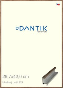 DANTIK rámeček 29,7x42 | ALU profil 7273 Dýha wenge (Plexi Čiré)