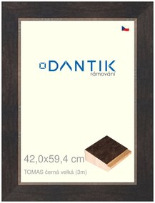 DANTIK rámeček 42x59,4 | TOMAS černá velká (Plexi Čiré)