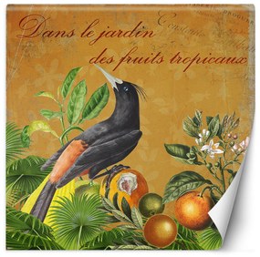 Gario Fototapeta Ptačí sentiment - Andrea Haase Materiál: Vliesová, Rozměry: 100 x 100 cm