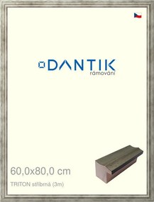 DANTIK rámeček 60x80 | TRITON stříbrná (Plexi Čiré)