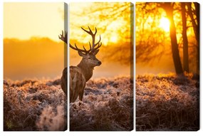 Vícedílný obraz Jelen V Lese Při Západu Slunce 3D Nedostatek Nedostatek Přírodní plátno 120x80