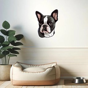 PIPPER. Nálepka Bostonský teriér Velikost: 60cm