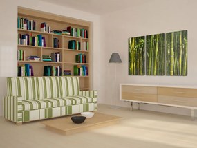 Obraz Bambus a zeleň (3-dílný) - motiv zen s kompozicí rostlin orientu