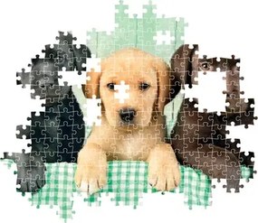 CLEMENTONI Puzzle Tři labradoři / 1000 dílků / od 18 let