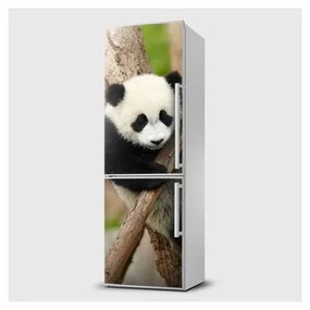 E-shop24, Pi51SL835, Rozměr 65x180 cm, Fototapeta samolepící na lednice - Panda