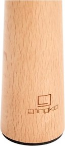 Přenosná světelná dekorace na USB v přírodní barvě Dragonflight – Gingko