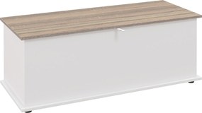 Dřevěná úložná truhlice HOMCOM s víkem, max. zatížení 120 kg pro ložnici a obývací pokoj, 100x40x40 cm, Přírodní a Bílá