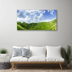 Obraz na plátně Hora Louka Příroda 120x60 cm