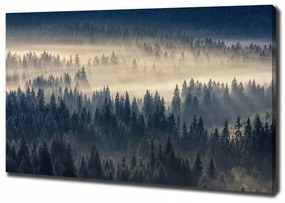 Obraz na plátně - Temný les 100 x 70 cm