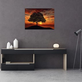 Skleněný obraz stromu se západem slunce (70x50 cm)