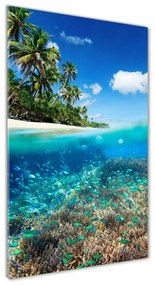 Wallmuralia Vertikální Foto obraz sklo tvrzené Korálový útes 50x100