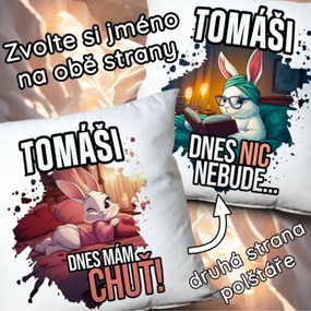 Ahome Ahome CZ Polštář Dnes mám chuť - Dnes nic nebude se jménem 37 x 37 cm