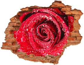 Wallmuralia Samolepící díra Kapky vody na růži 90x70 cm