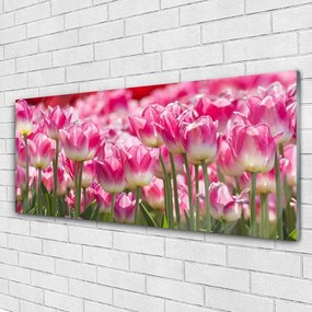 Plexisklo-obraz Tulipány Květiny Příroda 125x50 cm