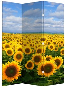 Paraván - Slunečnicové pole (126x170 cm)