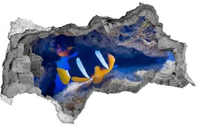 Wallmuralia Díra 3D fototapeta nálepka Tropická ryba 95x73 cm