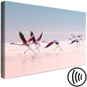 Obraz Ptáci připravující se k letu (1 díl) - Plamenáci na pozadí vody