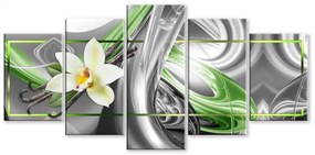 Malvis ® Obraz Abstraktní vanilka šedá-zelená Velikost: 100x50 cm