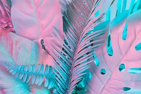 Obraz palmové listy v neobyčejných neonových barvách - 90x60 cm