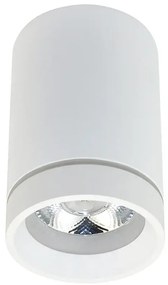 LED bodové světlo Bill bílé