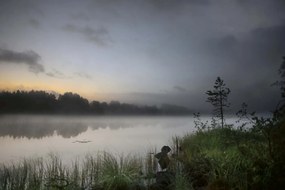 DIMEX | Vliesová fototapeta Jezero ve Švédsku MS-5-3070 | 375 x 250 cm | zelená, žlutá, šedá