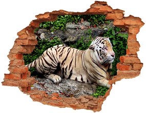 Wallmuralia Fototapeta díra na zeď Tygr na skále 90x70 cm