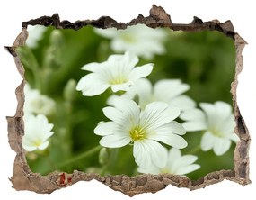 Wallmuralia Samolepící nálepka na zeď Jarní květiny 95x64 cm