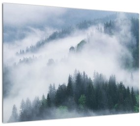 Obraz - Stromy v mlze (70x50 cm)