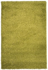 Mono Carpet Kusový koberec Efor Shaggy 1903 Green - 60x115 cm
