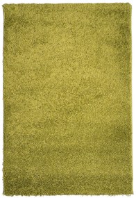 Mono Carpet Kusový koberec Efor Shaggy 1903 Green - 80x150 cm