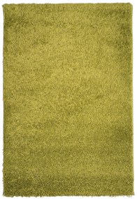 Mono Carpet, Kusový koberec Efor Shaggy 1903 Green, 80x150, zelená, ložnice
