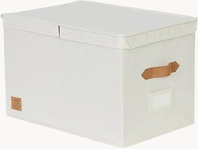 Skladovací box's víkem Premium