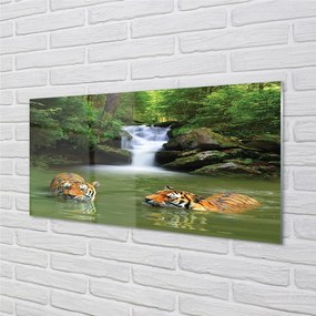 Obraz na skle vodopád tygři 125x50 cm