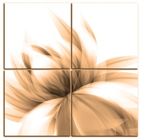 Obraz na plátně - Elegantní květ - čtverec 3147FE (60x60 cm)