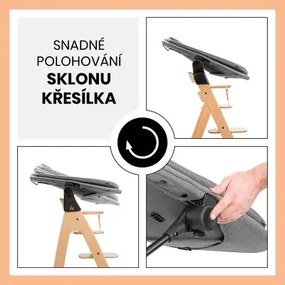 Hauck Křesílko Bouncer 3v1 na židličku Alpha+/Beta+, Dark Grey Melange
