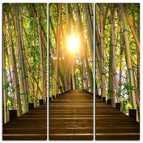 Obraz na plátně - Dřevěná promenáda v bambusovém lese - čtverec 3172B (75x75 cm)