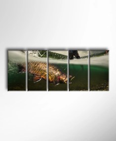 Malvis ® Obraz Rybář a pstruh ROZMĚR (šířka x výška): jednodílný obdélník 90x60 cm