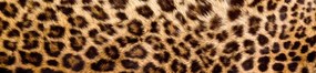 Fototapeta na linku Leopard 260 x 60 cm | KI260-069