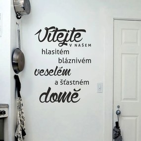 Samolepky na zeď - Vítejte v našem domě Barva: Mint, Velikost: 44x60 cm