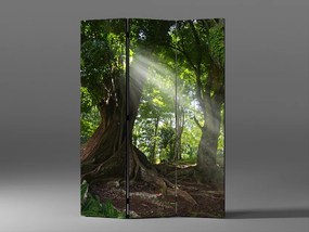 Liox PARAVÁN strom v deštném pralese Rozměr: 135 x 180 cm