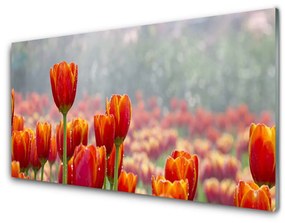 Obraz na skle Tulipány Květiny Rostlina 125x50 cm