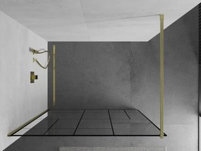 Mexen Kioto, sprchová zástěna Walk-In 120 x 200 cm, 8mm čiré sklo černý vzor, ​​zlatý matný profil, 800-120-101-55-78